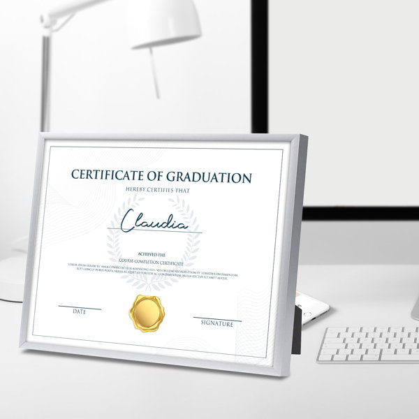 Latitude Run® Brookstead 8.5x11 Picture Frame in Silver, Diploma Frame ...