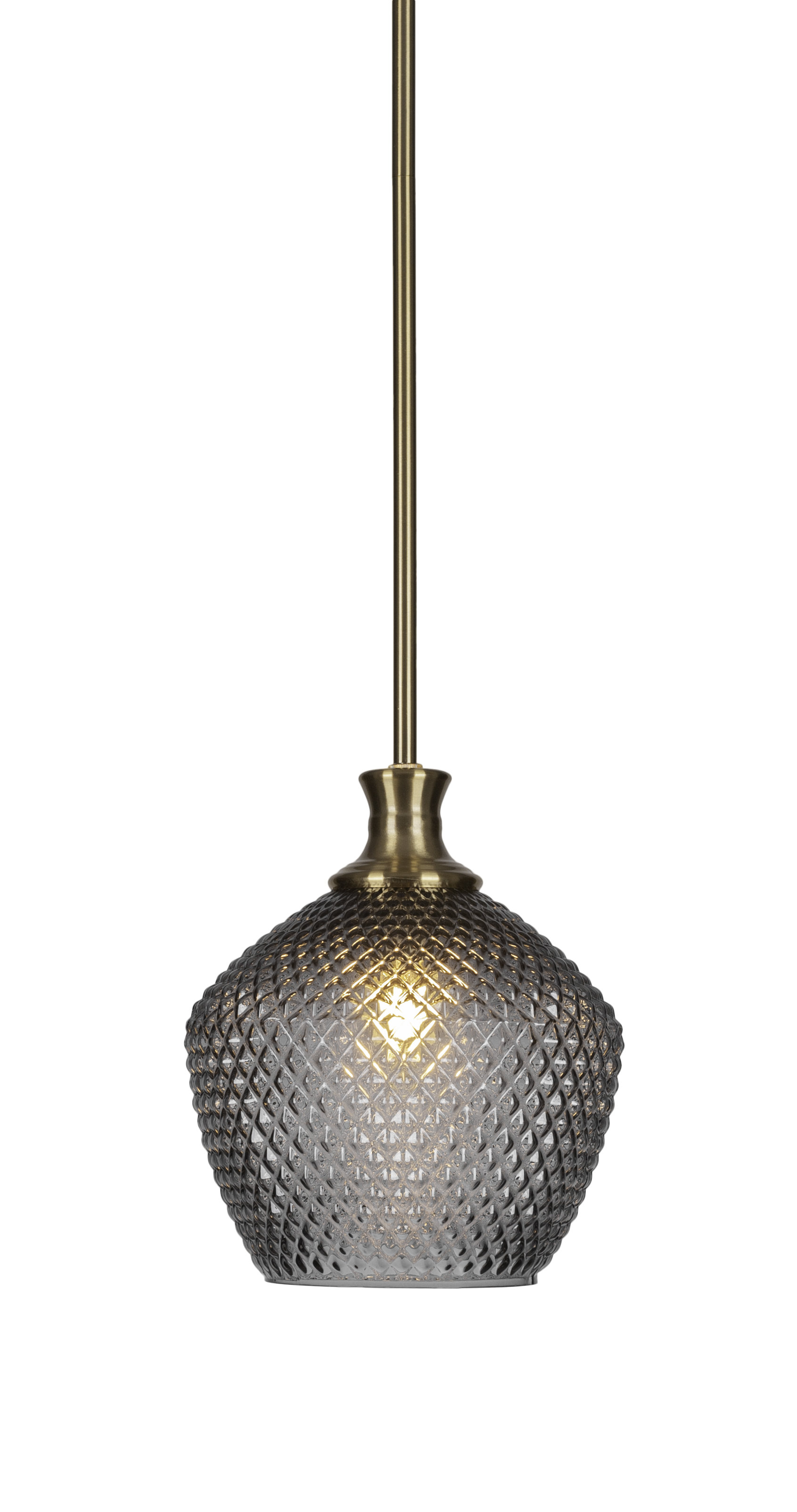 Red Barrel Studio® Zola Chain Hung Pendant & Reviews | Wayfair