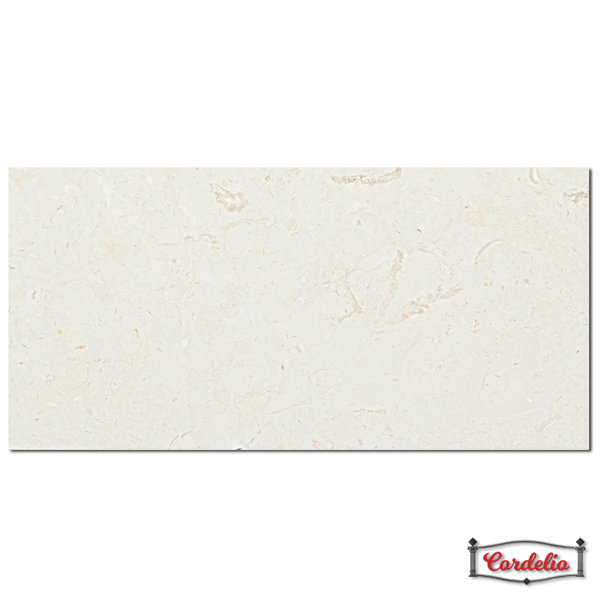 Cordelio 6x12 CORINTHIAN FOSSIL HONED & EASED | Wayfair