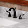 CASAINC Wild Drop-In 2-handle Bathroom Faucet with Drain Assembly | Wayfair