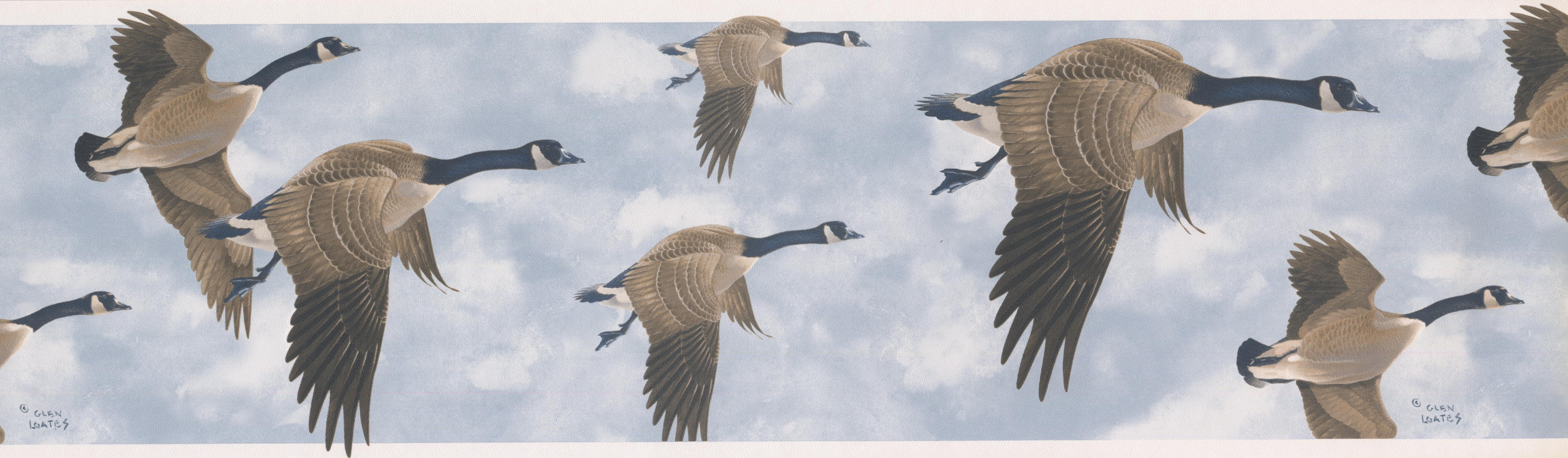 Loon Peak® Chaparral Beautiful Flying Ducks Sky 7'' L x 180" W Wildlife ...