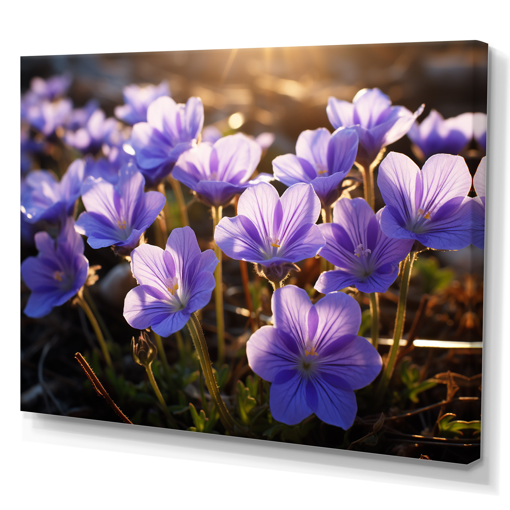 Latitude Run® Violets Field At Sunrise I On Canvas Print | Wayfair