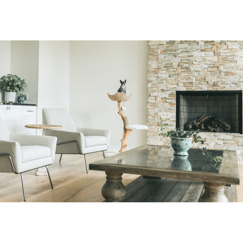 Archie & Oscar™ 43" Lina Cat Tree & Reviews | Wayfair