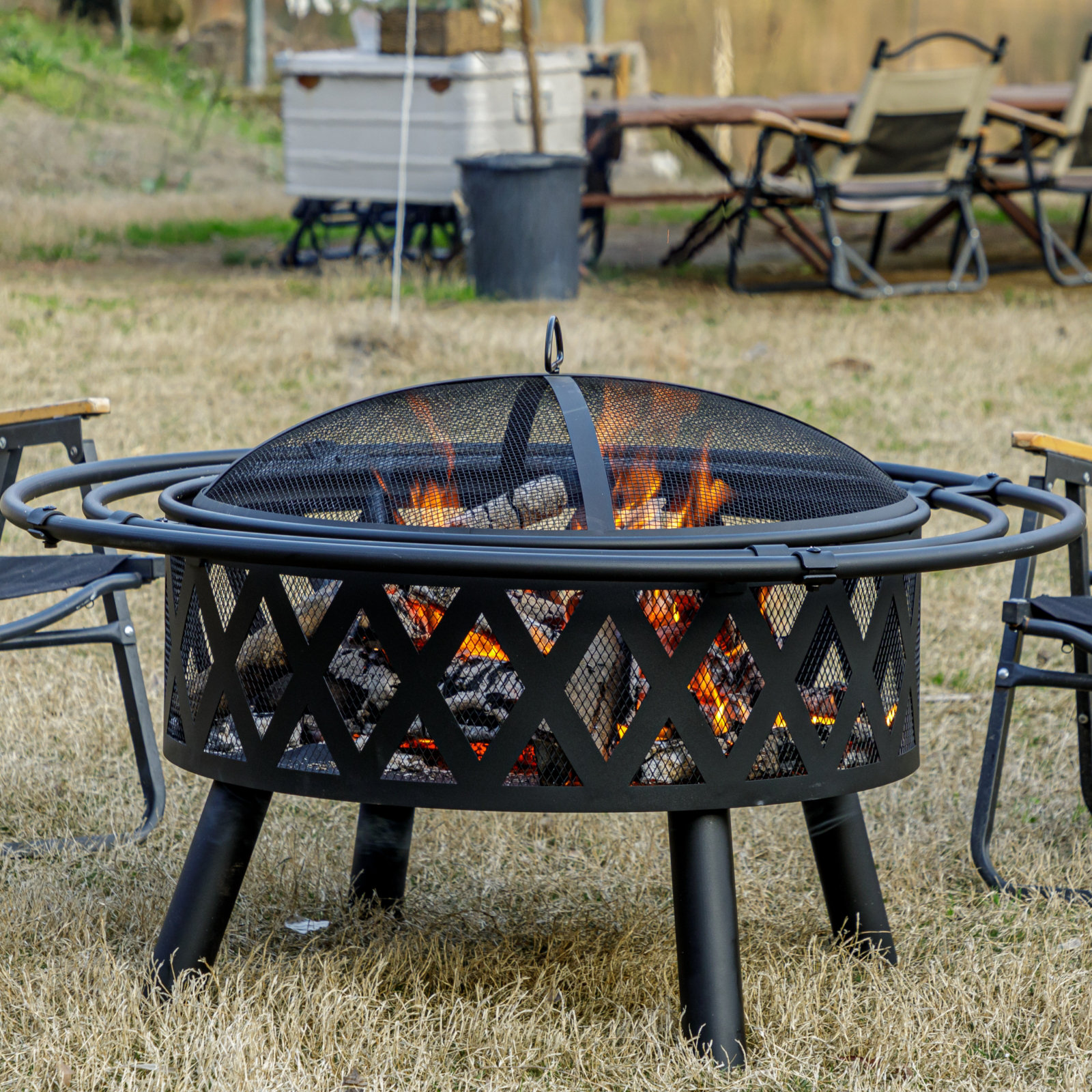Winston Porter Randalyn Wood Burning Fire Pit for Outside,Outdoor Fire ...
