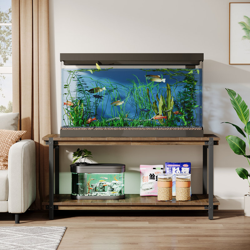 17 Stories 100-120 Gallon Rectangle Aquarium Stand | Wayfair