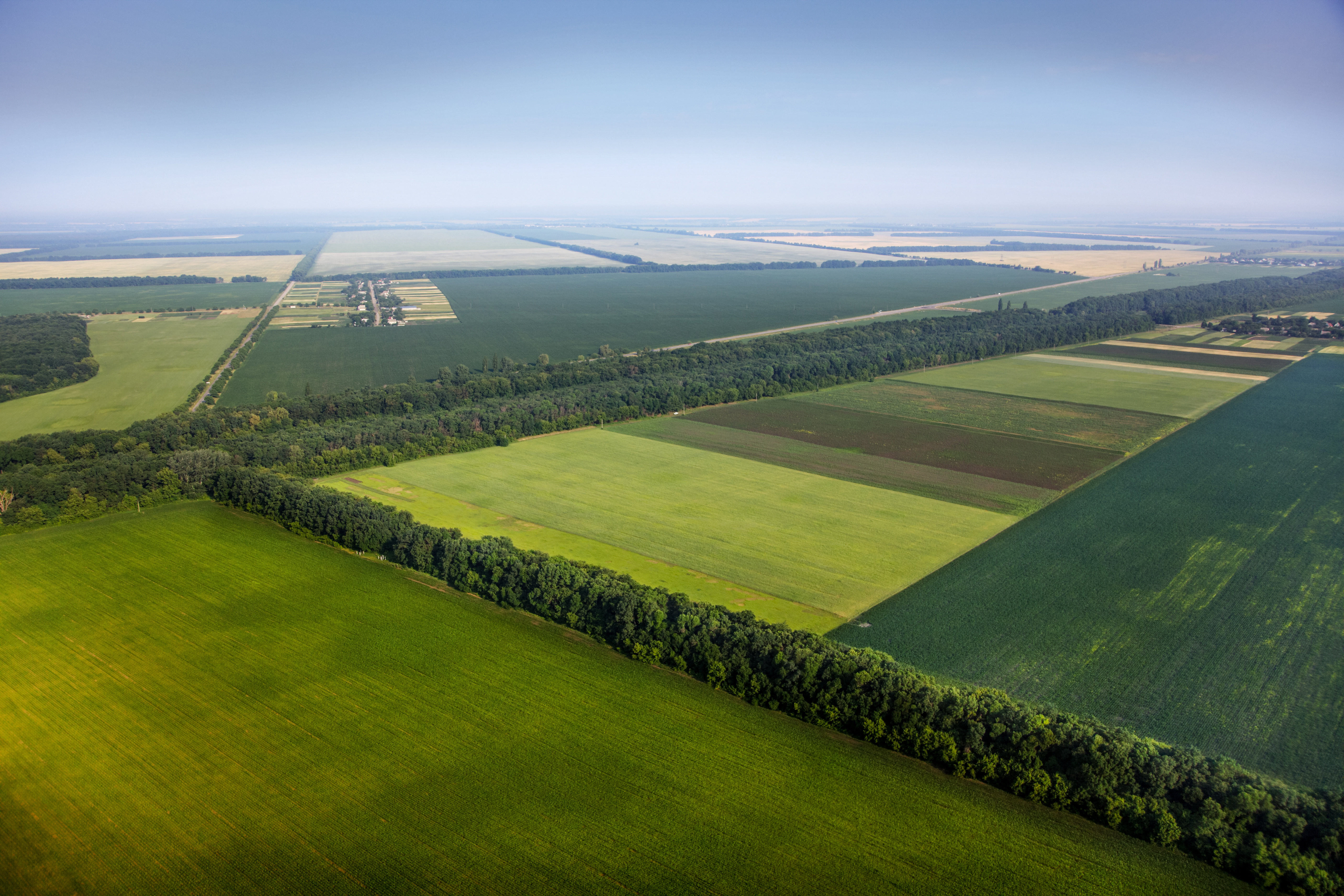 Latitude Run Gustavus Above The Green Fields by Coloss - Wrapped Canvas ...