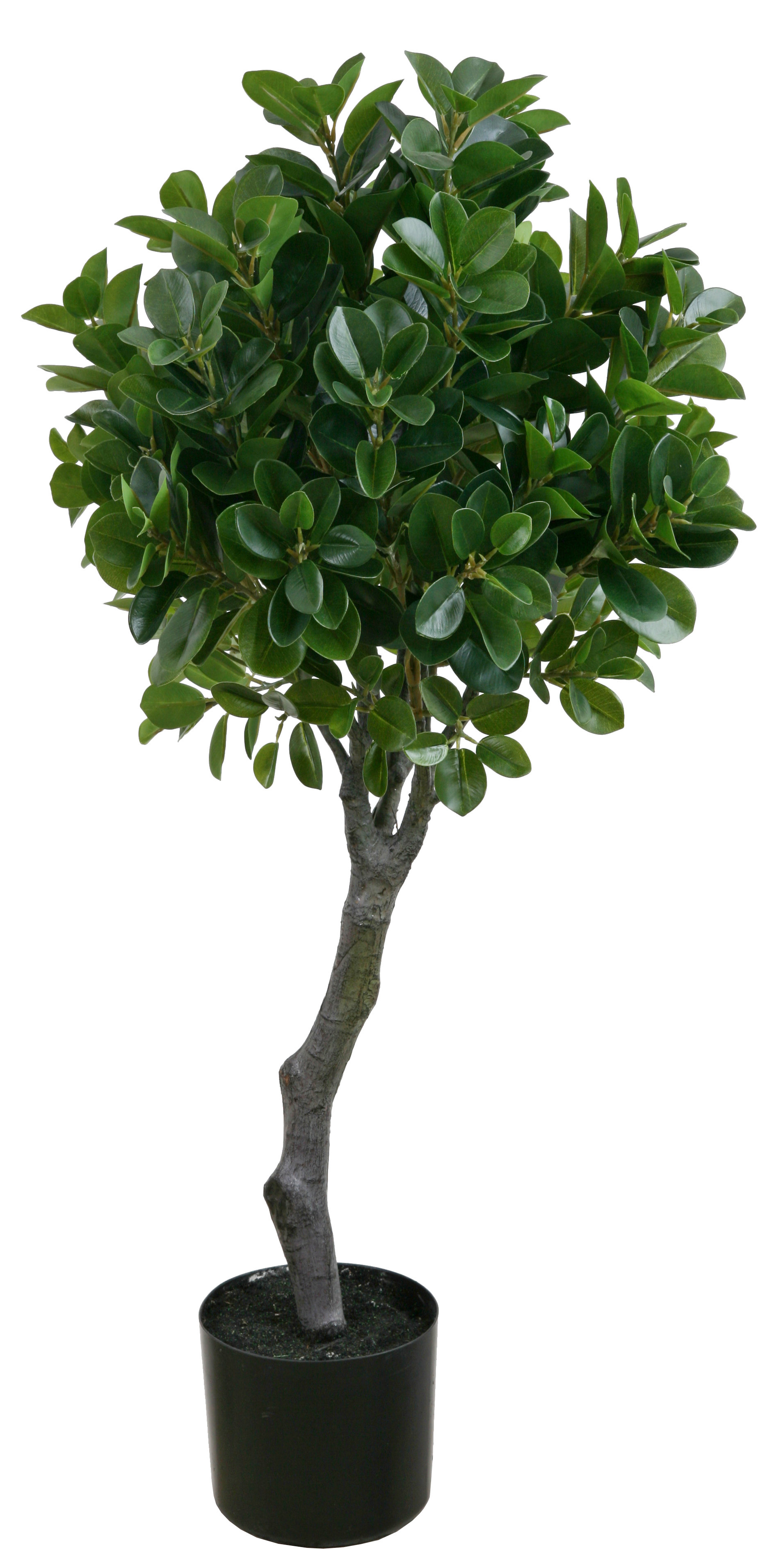 Winward Silks Italian Ficus Topiary | Perigold