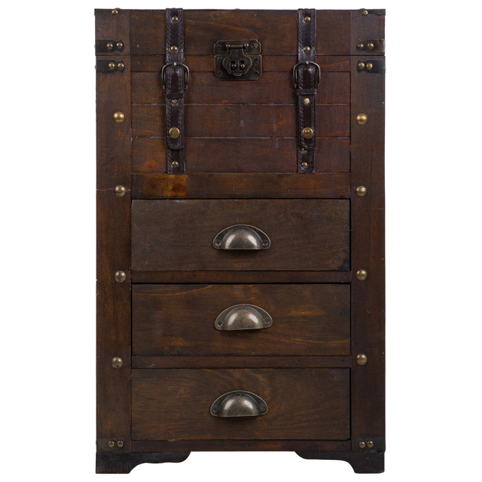 Borough Wharf Falsterbo Vintage Trunk | Wayfair.co.uk