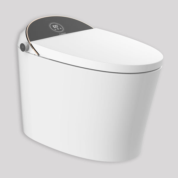 CANEST NETWORK TECHNOLOGY LLC 1.45 Gallons GPF Elongated Chair Height ...