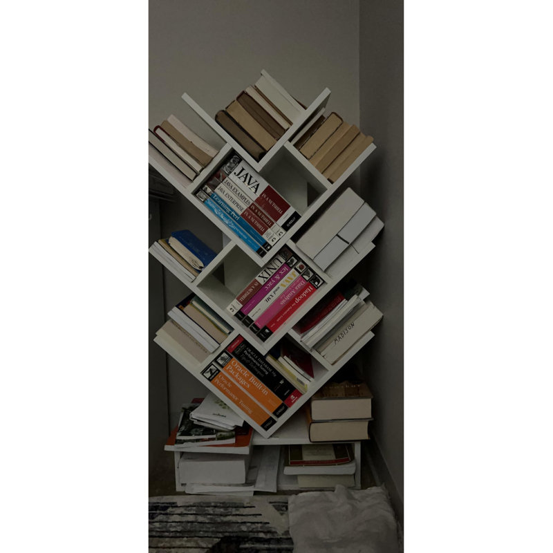 Latitude Run® Gwennan Book Display Bookcase | Wayfair