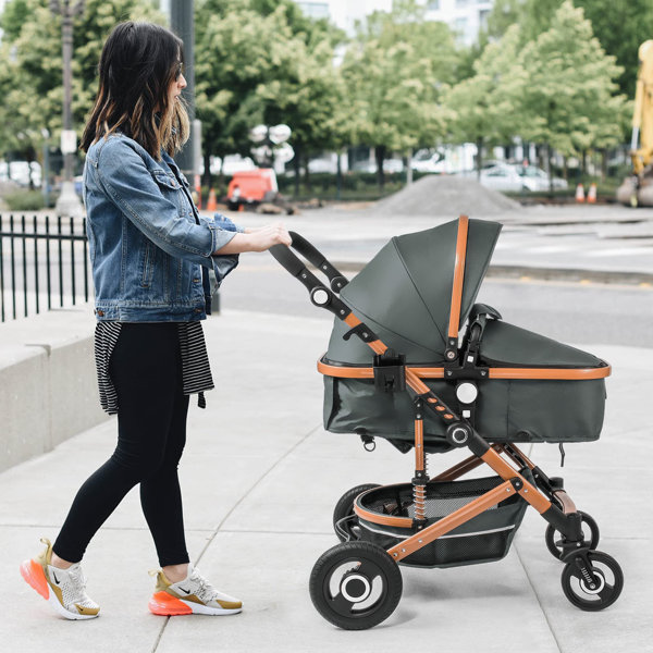 ACEM Multi-Child Stroller - Wayfair Canada