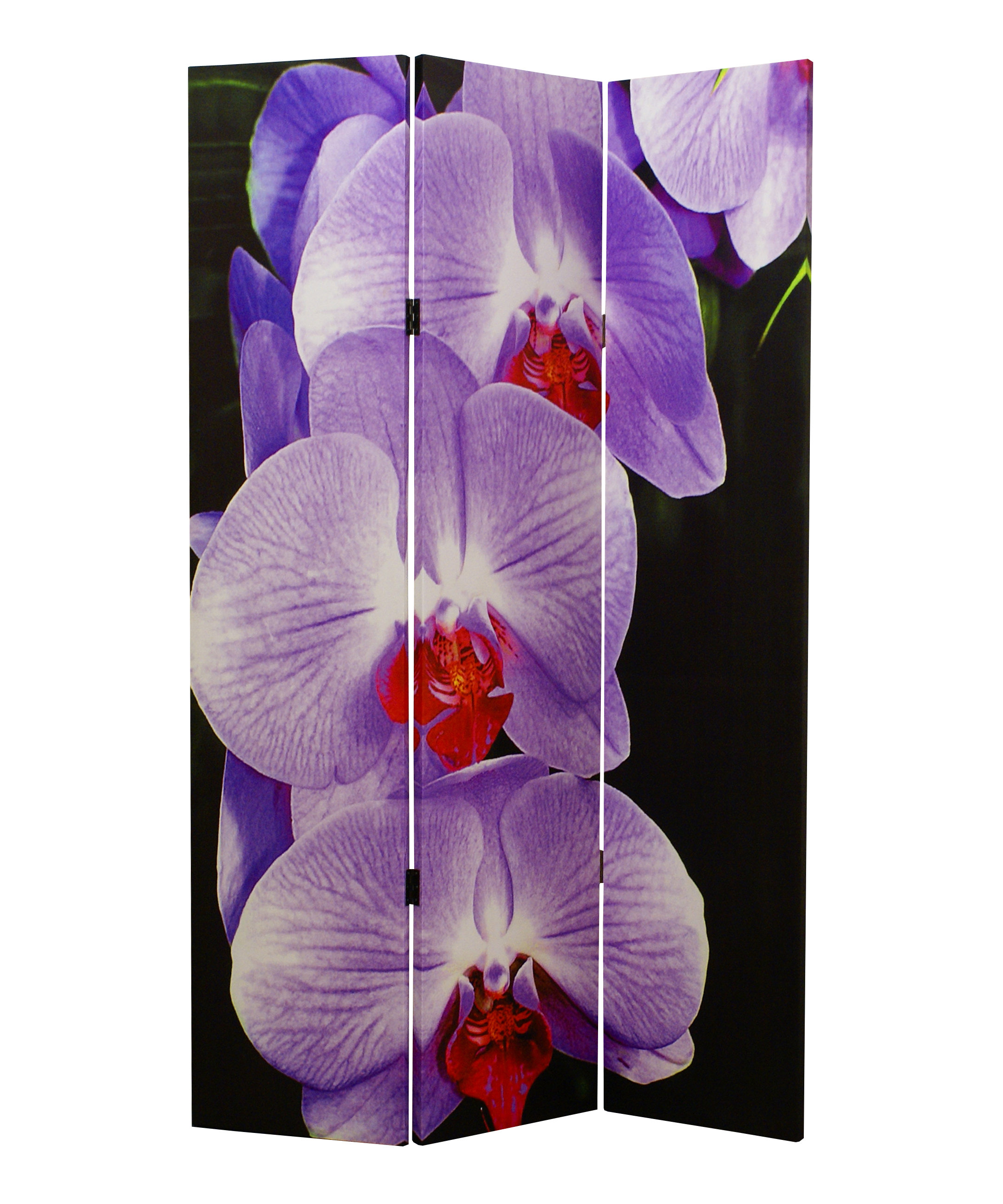 Latitude Run® Guzik Orchid 3 Panel 6ft Room Divider - Wayfair Canada