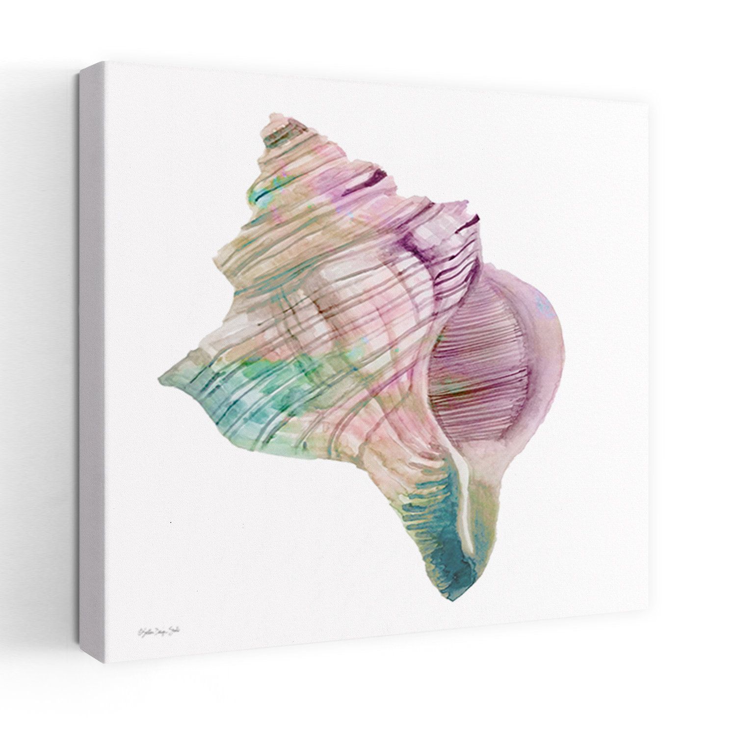 Dovecove Conch Shell Abstract Coastal Art | Wayfair