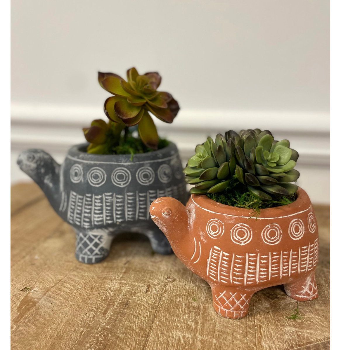 Ophelia & Co. Cement Turtle Planter | Wayfair
