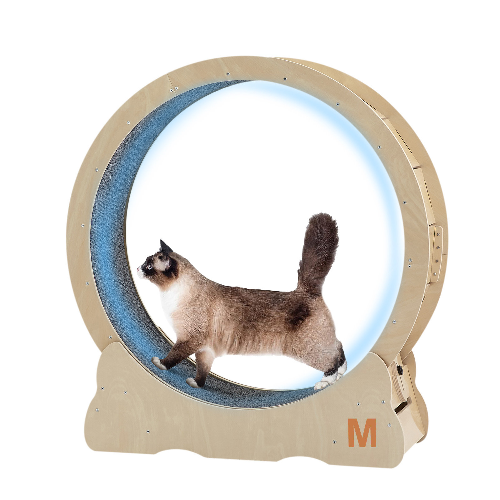 Tucker Murphy Pet™ Emilse Cat Exercise Wheel for Indoor Cat Treadmill ...