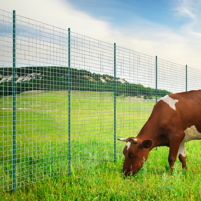 VEVOR 7 Feet Fence Post 10 Pack T-Post Heavy Duty Metal Fence Posts ...