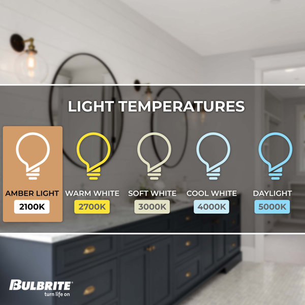 Threaded-bulb-light-fixture | Wayfair