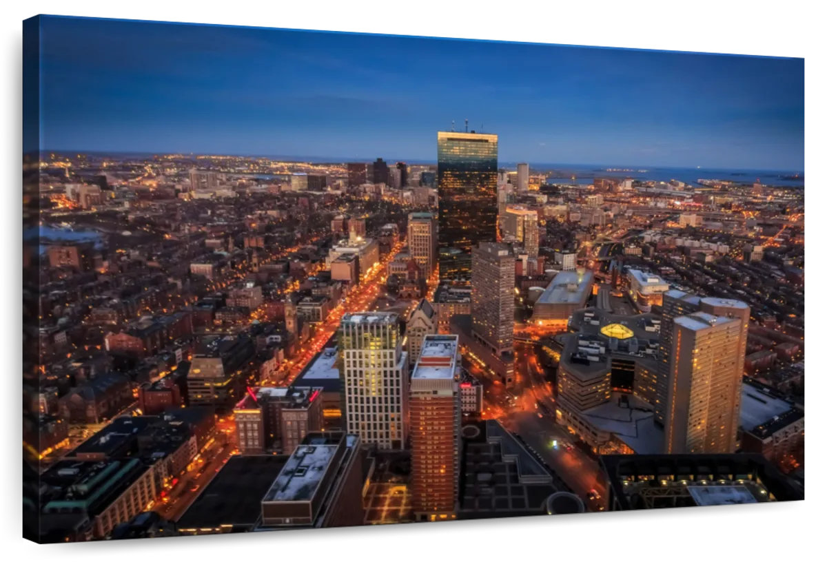 Elephant Stock Boston Skyline At Sunset | Wayfair