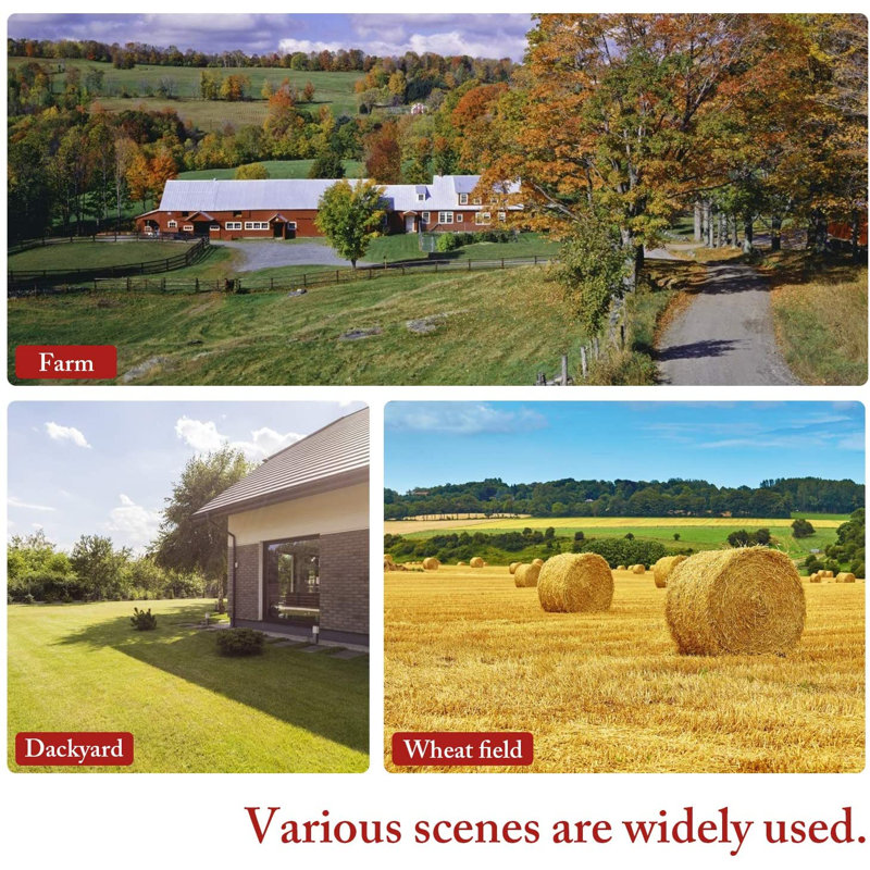 Arlmont & Co. Sia Metal Windmill & Reviews | Wayfair