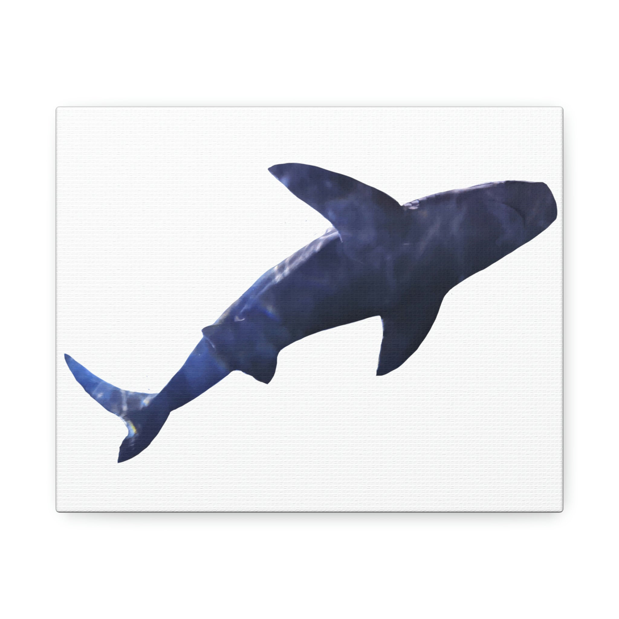 Highland Dunes Shark - Wrapped Canvas Rectangle Illustration | Wayfair