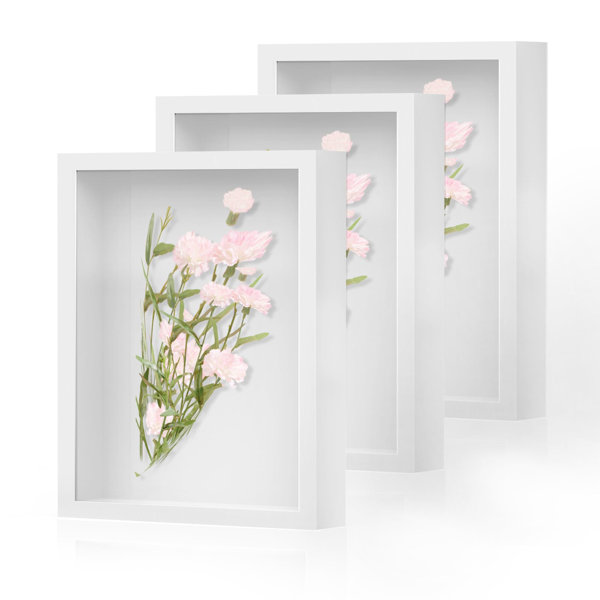 Shadow Box Picture Frames You'll Love