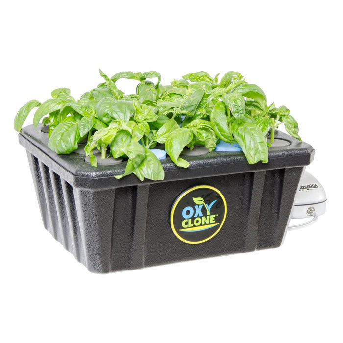 Hydrofarm Growing Kit & Reviews | Wayfair