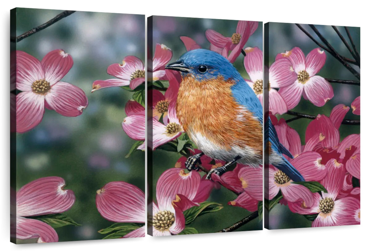 Ebern Designs Brampt Bluebird Pink Dogwood | Wayfair