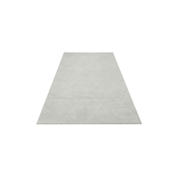 Foundry Select Tianee Area Rug with Non-Slip Backing - Wayfair Canada