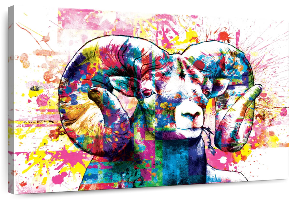 Ebern Designs Ram Paint Splash - Wayfair Canada