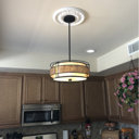 World Menagerie Bashir 3 - Light Pendant & Reviews | Wayfair