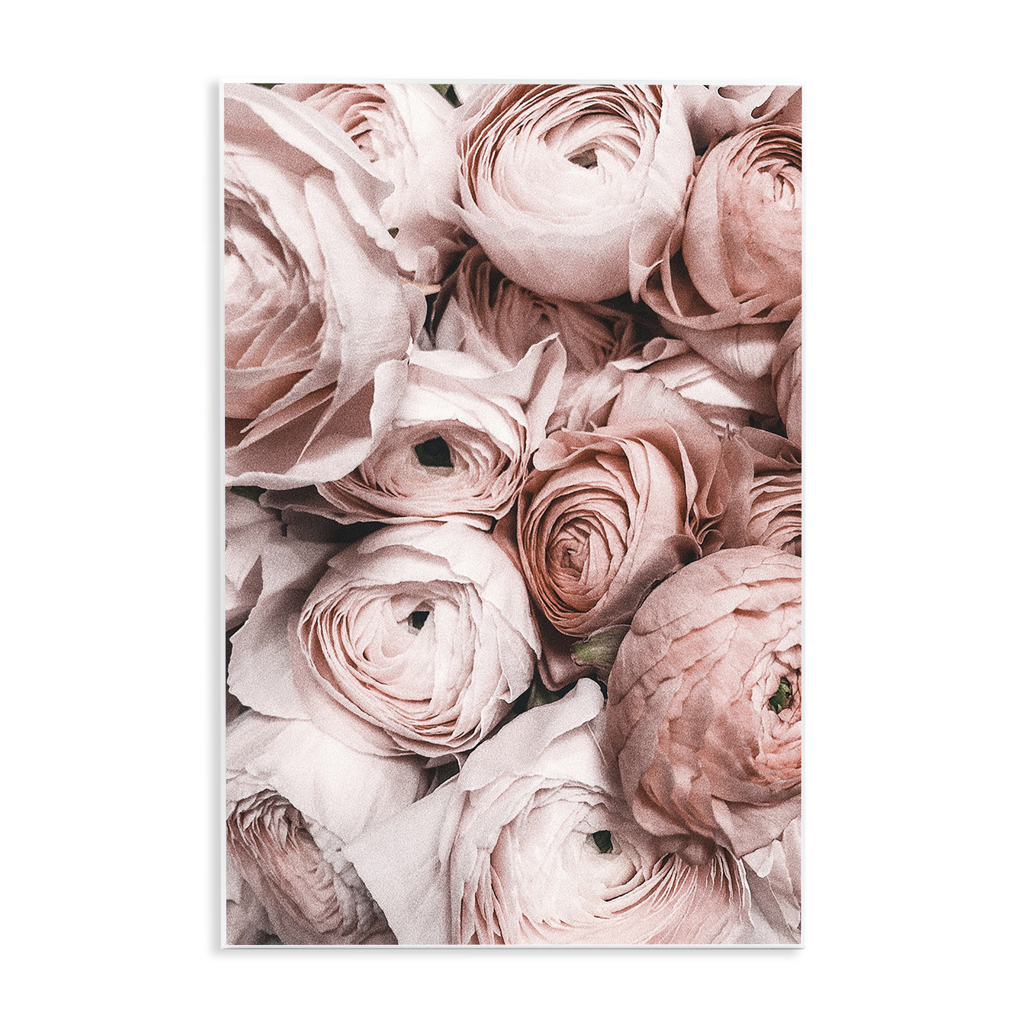 Stupell Industries Az-436-Wood Pink Muted Peonies On Canvas by Incado ...