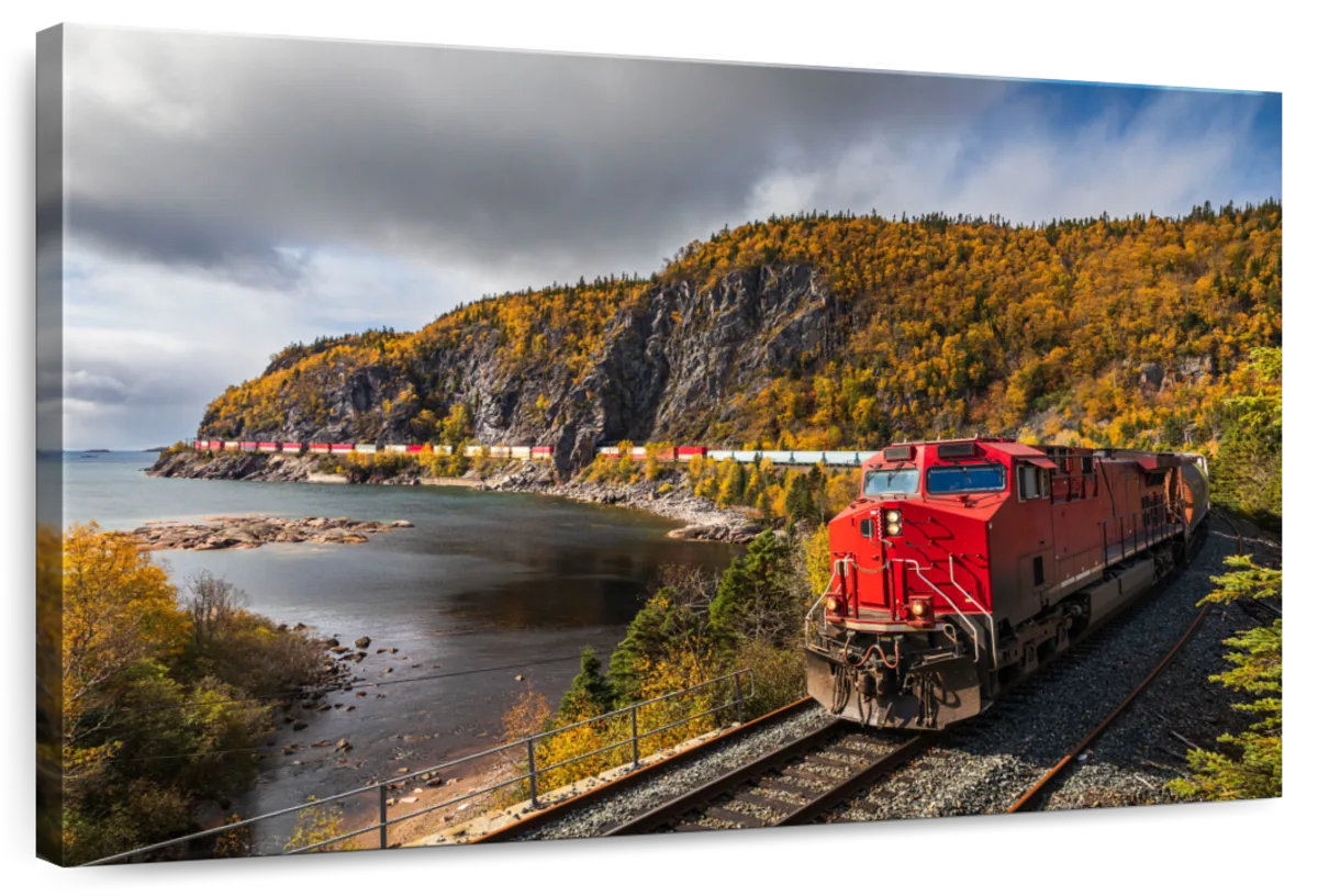Elephant Stock Freight Train In Autumn | Wayfair