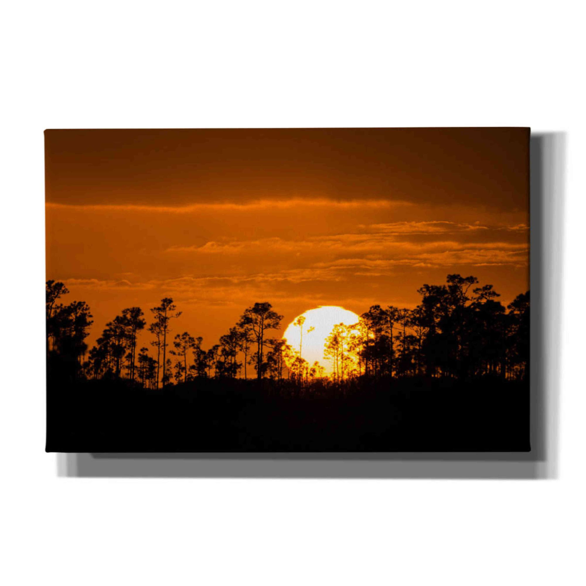 Latitude Run® Fire In The Sky On Canvas by Edin Chavez Print | Wayfair