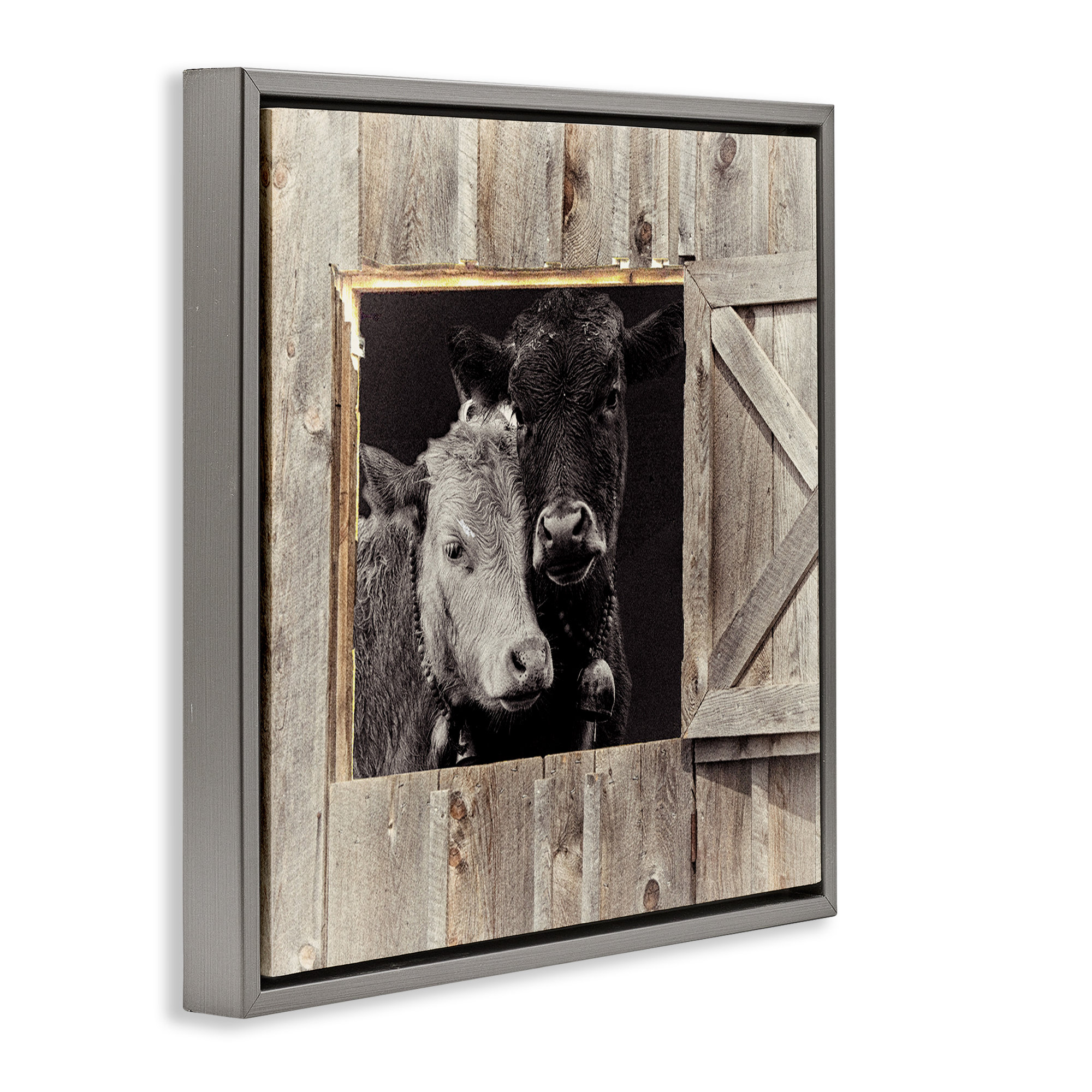 Ophelia & Co. Best Friends Barn Cows Floating Frame, design by Sophie 6 ...