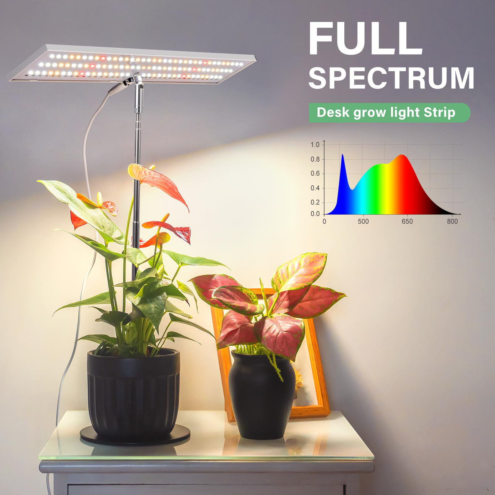ELLAAURORA Full Spectrum LED Plant Light - Wayfair Canada