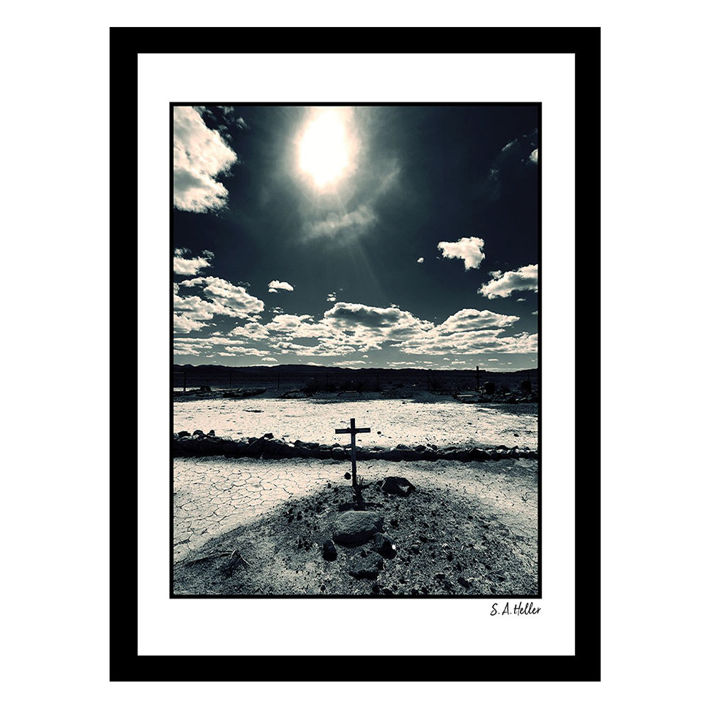 Ebern Designs " Desert Graveyard " - Wayfair Canada