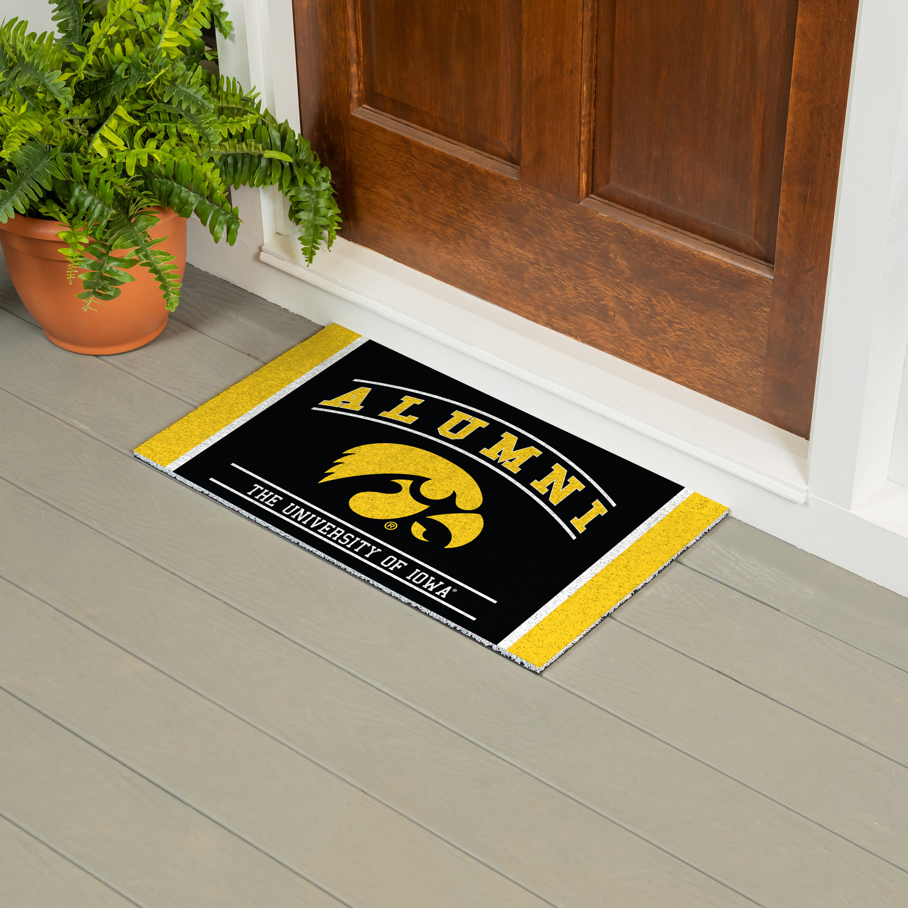 Evergreen Enterprises, Inc University of Iowa Alumni PVC Mat, 28"x16 ...