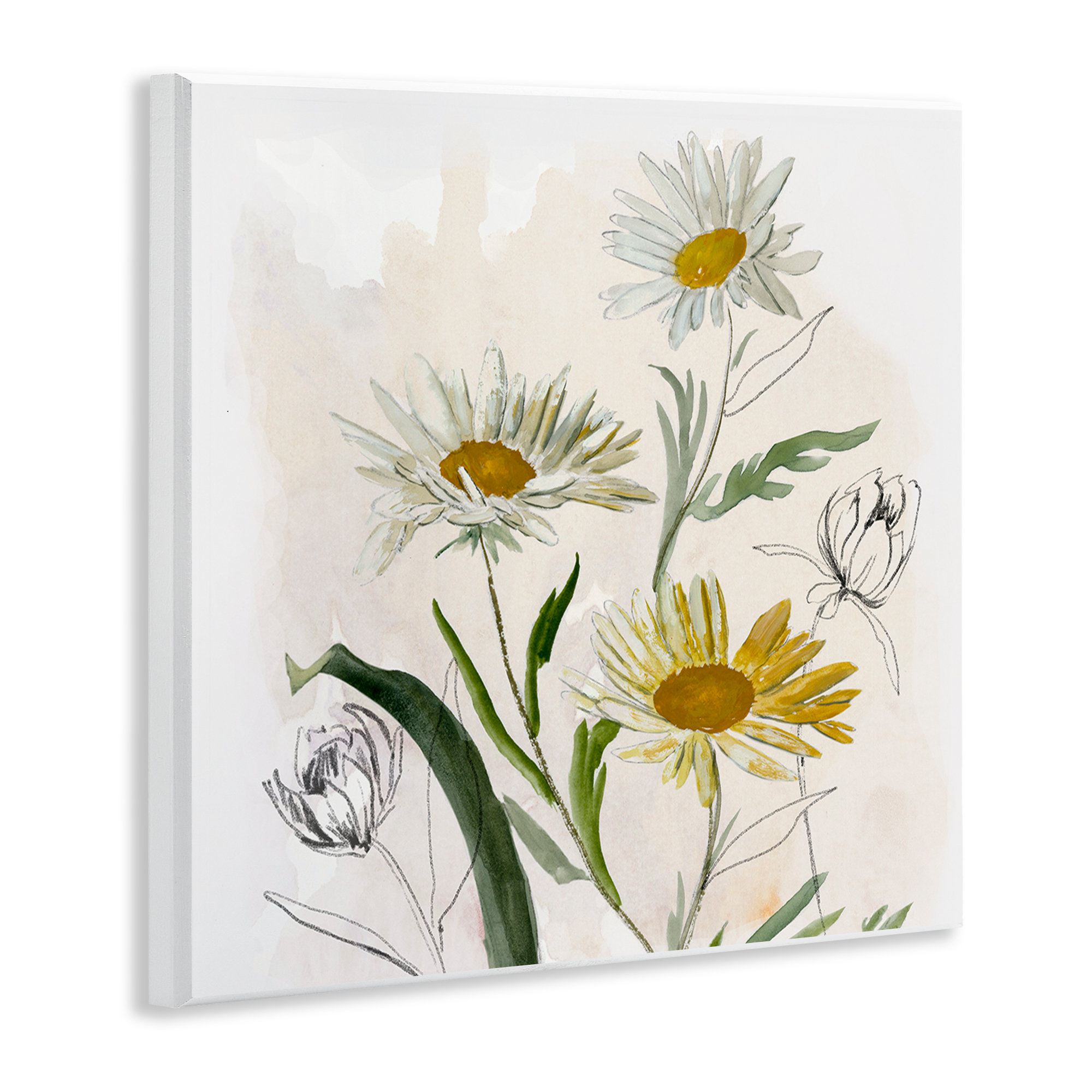 Ophelia & Co. Pure Simplicity Daisies Wall Plaque, design by Jacob Q ...