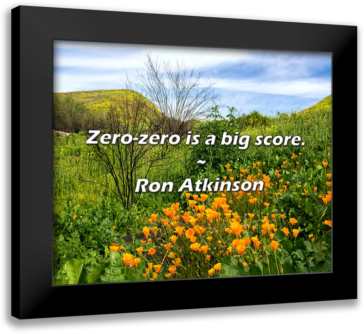 Trinx Ron Atkinson Quote: Zero-zero is a big score. | Wayfair