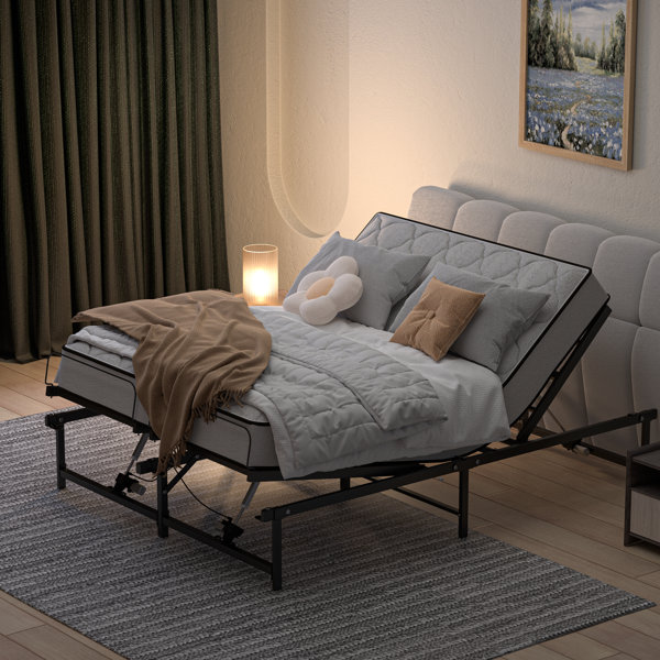 Alwyn Home Electric Adjustable Bed Frame, Head And Foot Incline Bed ...