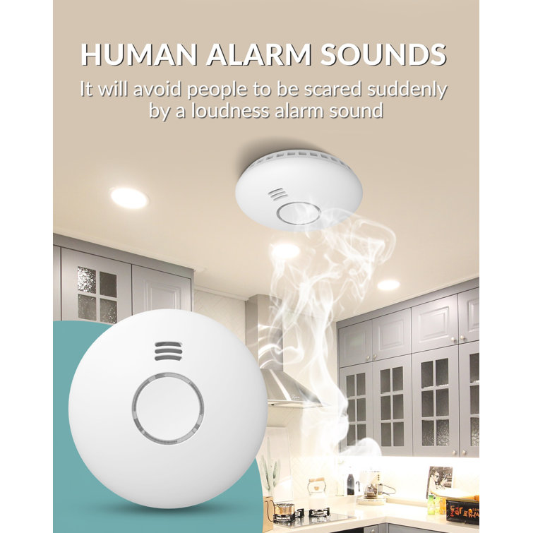 Ecoey Wall/Ceiling Mounted Smoke Detector - Wayfair Canada