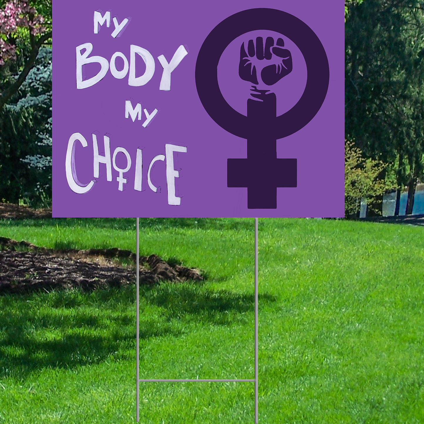 Trinx My Body My Choice Plastic Yard Garden Stake Cardboard Standup ...