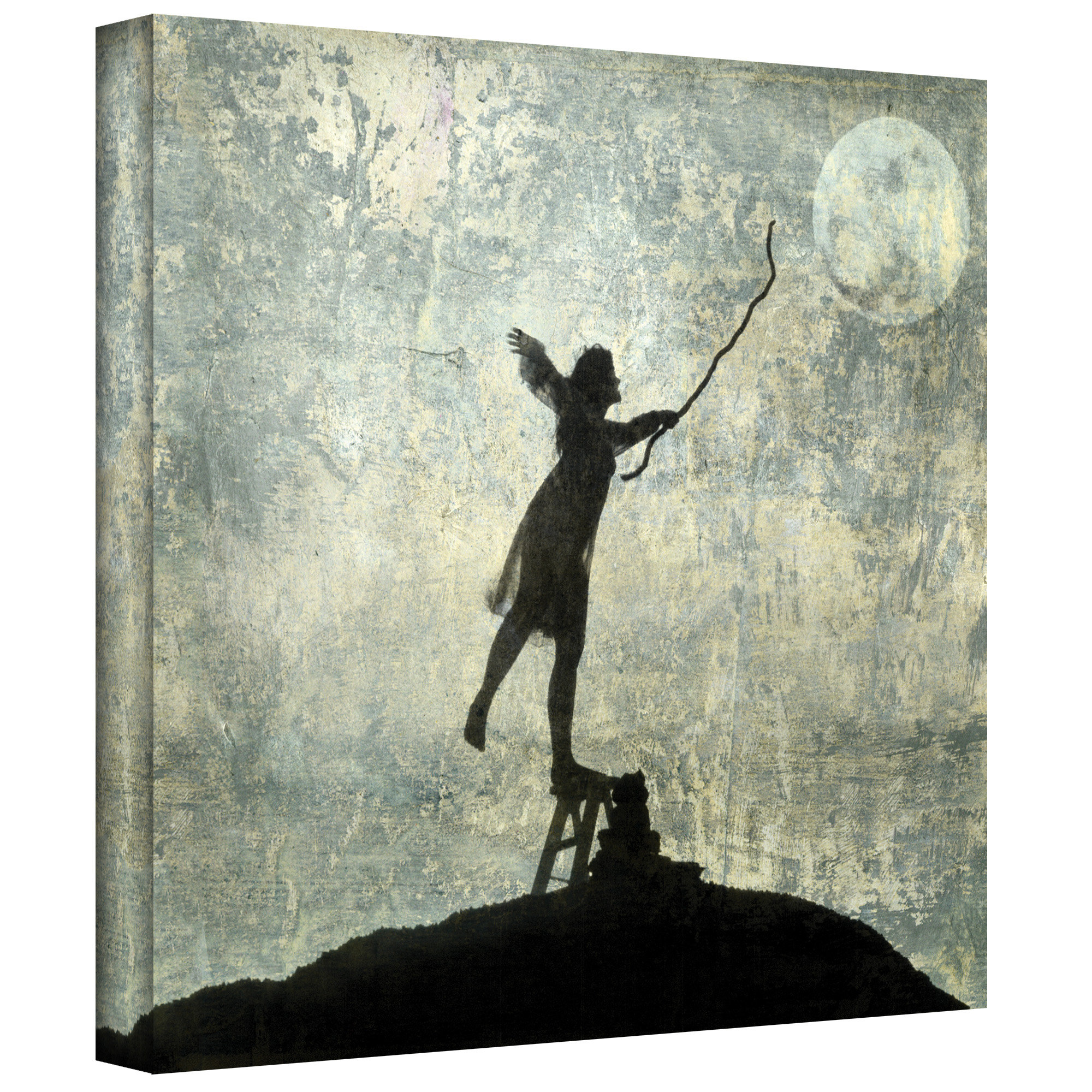 ArtWall 'Reach for the Moon' by Elena Ray Graphic Art on Wrapped Canvas ...