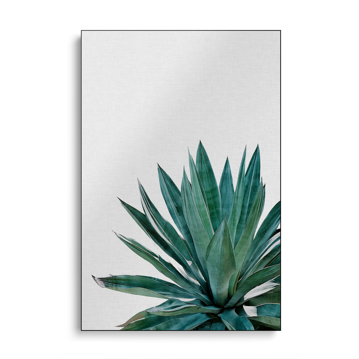 Latitude Run® Steelpix Metal Canvas - Agave Cactus By Orara Studio Wall ...