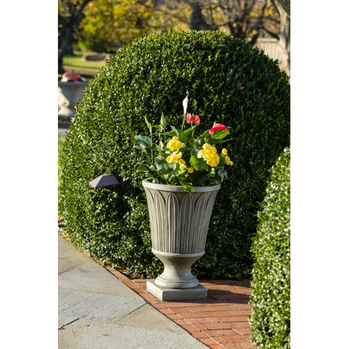 Urn Planters | Wayfair