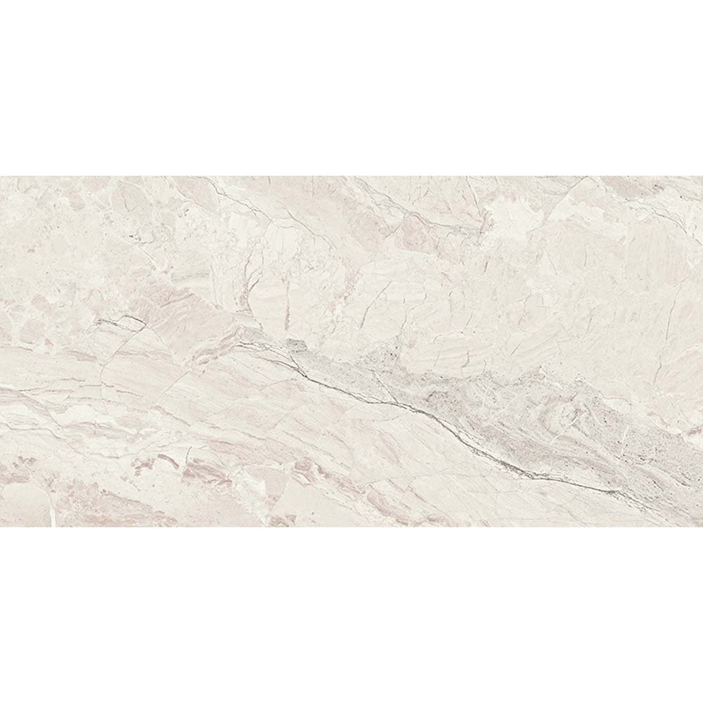 Apollo Tile Splendor 23.62'' W x 47.25'' L Porcelain Singular Tile ...