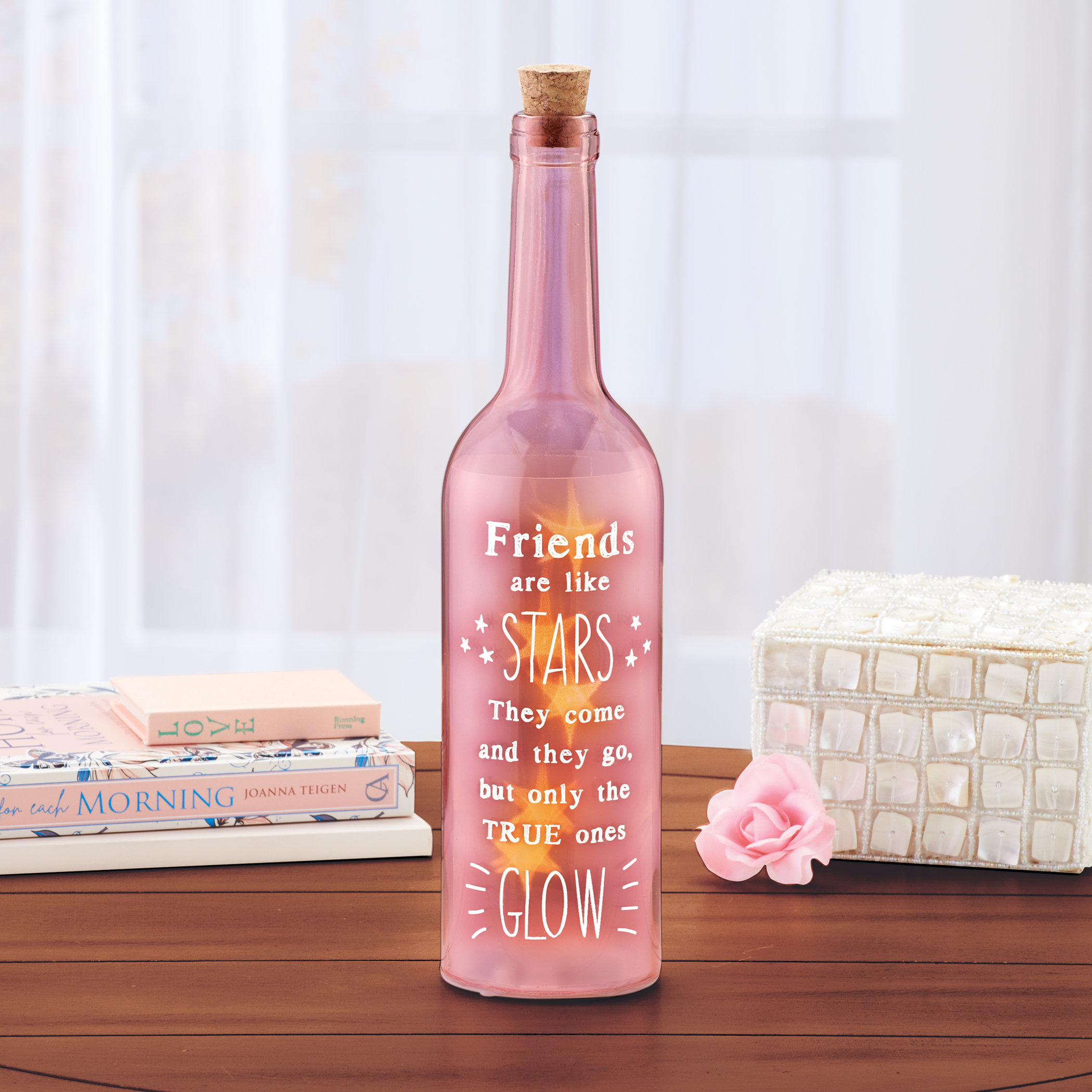 Trinx Diyanka Friends Sentimental Starlight Bottle with LED Lights ...