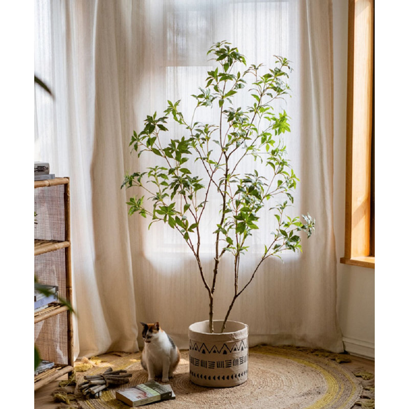 Primrue Gant Artificial Japanese Enkianthus Tree & Reviews | Wayfair