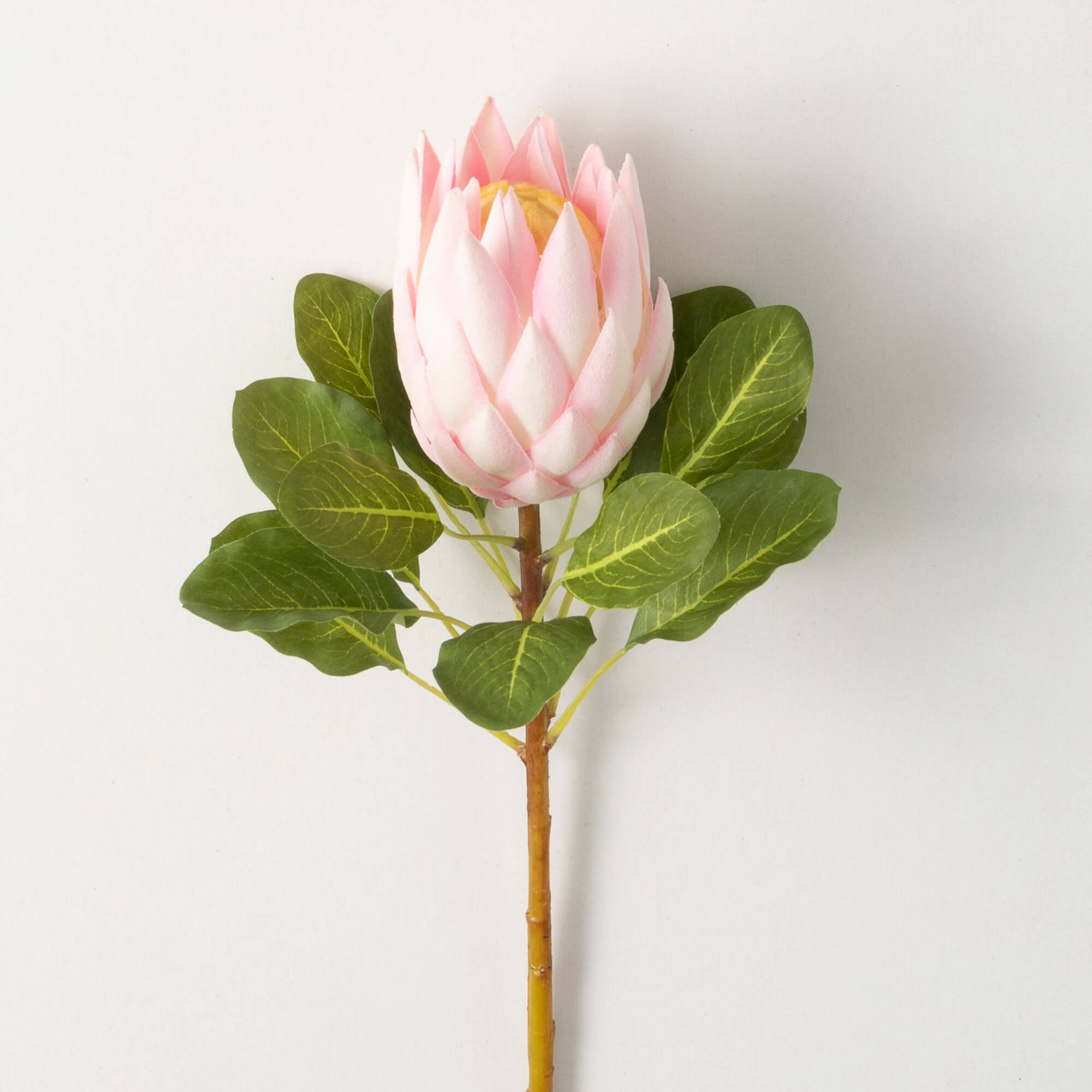 Primrue Tige artificielle 29 po King Protea - Wayfair Canada