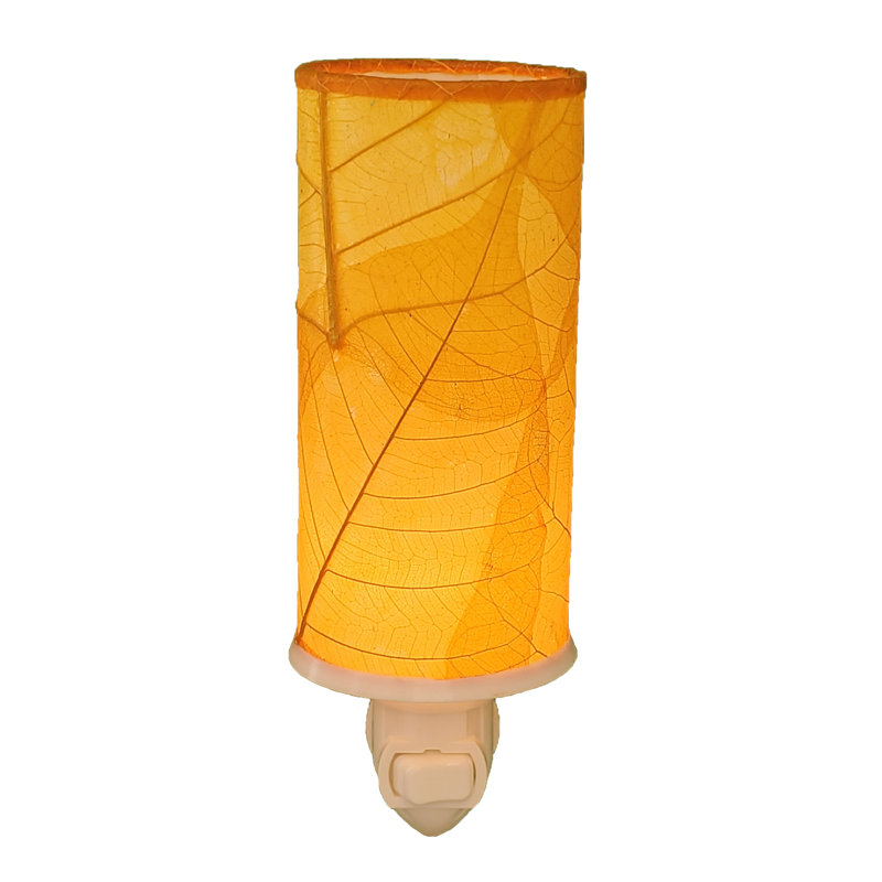 Eangee Home Design Cylinder Night Light & Reviews | Wayfair